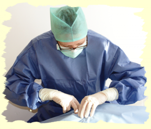 Neutering & Surgery | Hilltop Vets